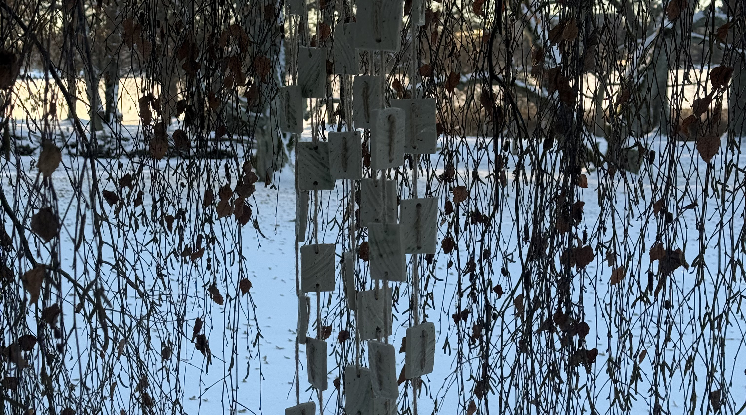 Region Kronoberg - Designprojekt skapar lugna pauser på Sigfridsområdet